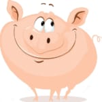 [Ngắm] 200+ hình ảnh con heo mập cute, dễ thương nhất Thế Giới