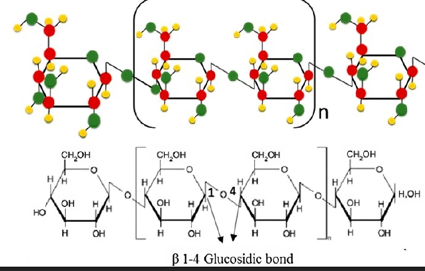 Xenlulozo là gì? công thức Xenlulozo, các tính chất và bài tập